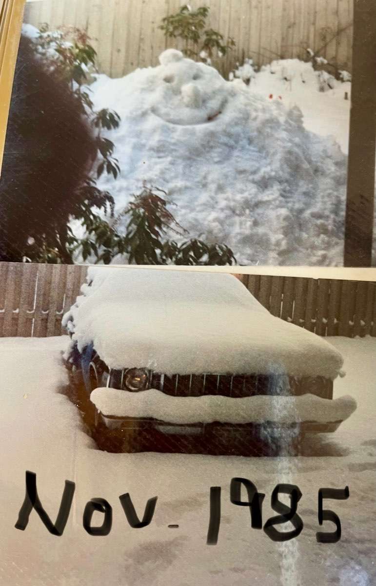 October 2025 PNW - Page 49 - West of the Rockies - The Weather Forums